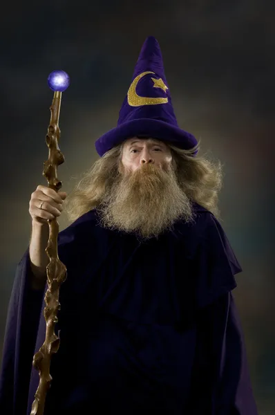 Imagens de Standing wizard with staff, fotografias de stock Standing ...