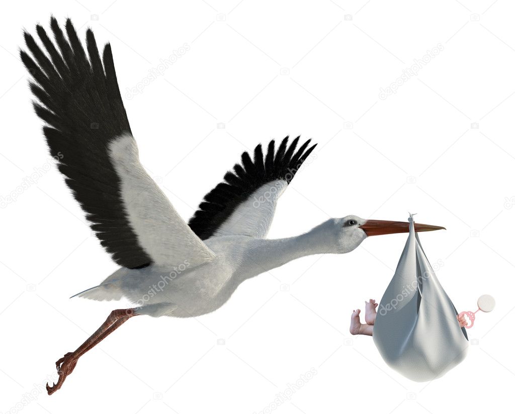 Stork & Baby — Stock Photo © jamesgroup #13453778