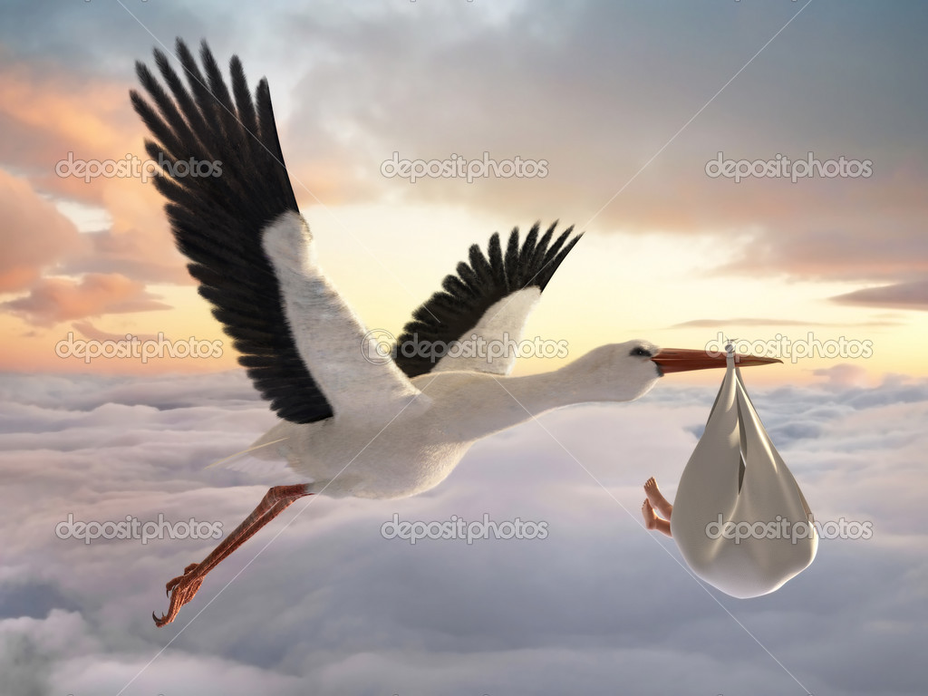 Stork & Baby Stock Photo by ©jamesgroup 13481951