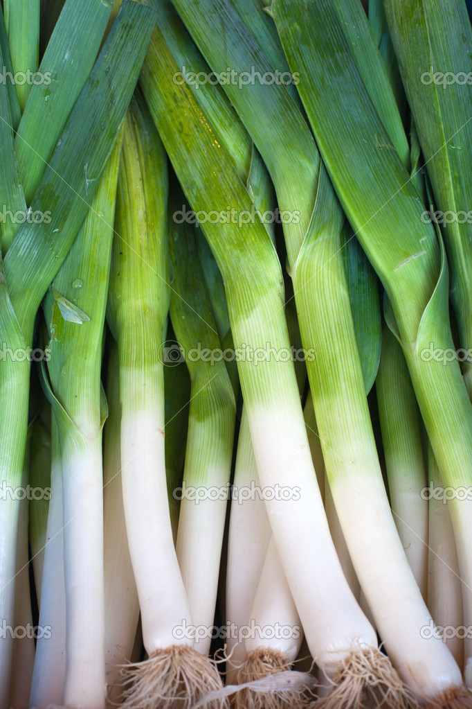Fresh healthy bio leek on German farmer market — Stock Photo ...