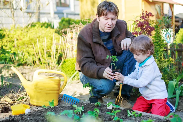 Father and son gardening. Father educate son to care a plant Stock ...