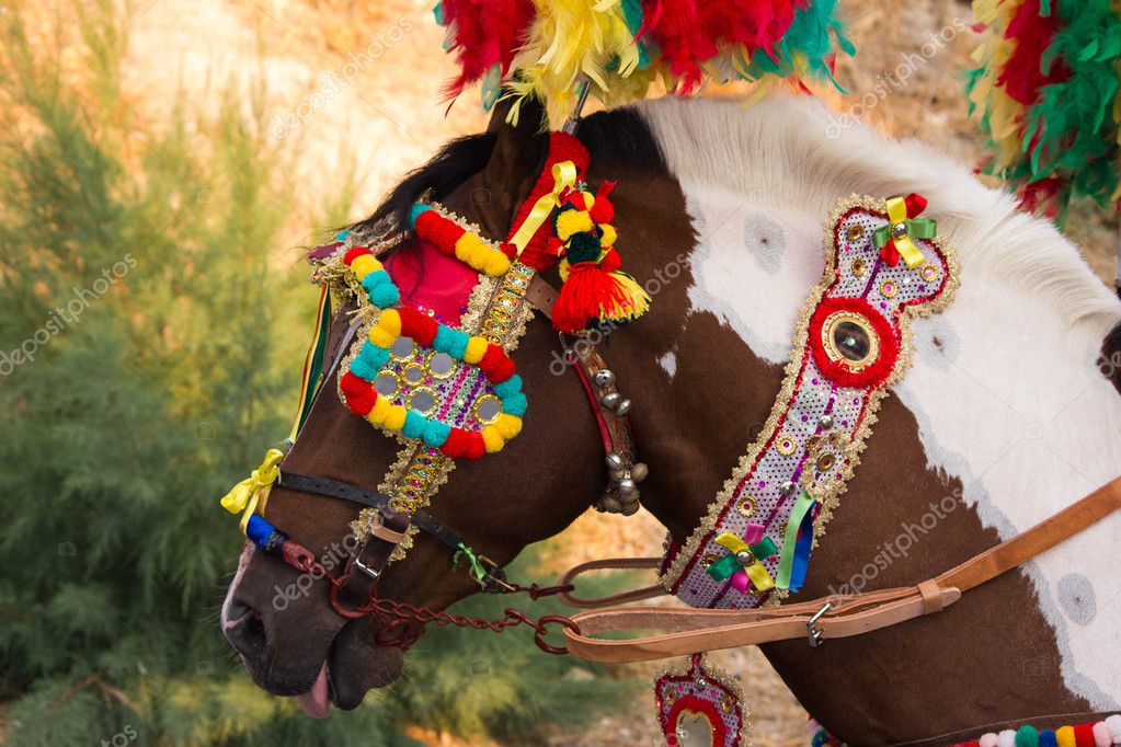 Decorated horse Stock Photo by ©goghy73 12718392
