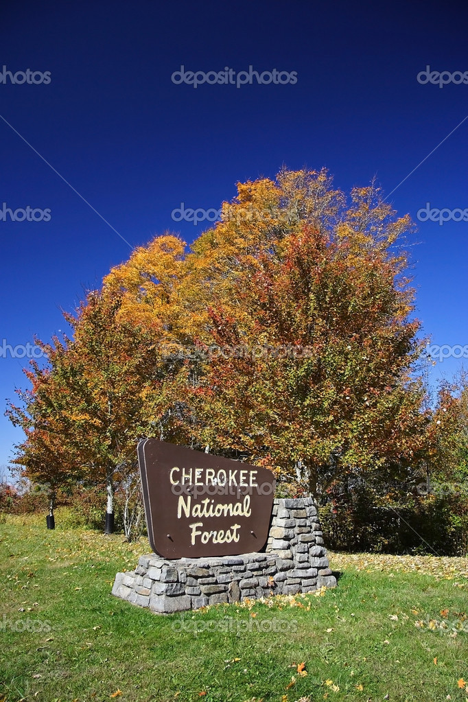 National Forest Entrance Sign Stock Photo by ©Wilsilver77 13699870