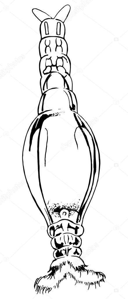 Rotifer — Stock Vector © blueringmedia #26395119