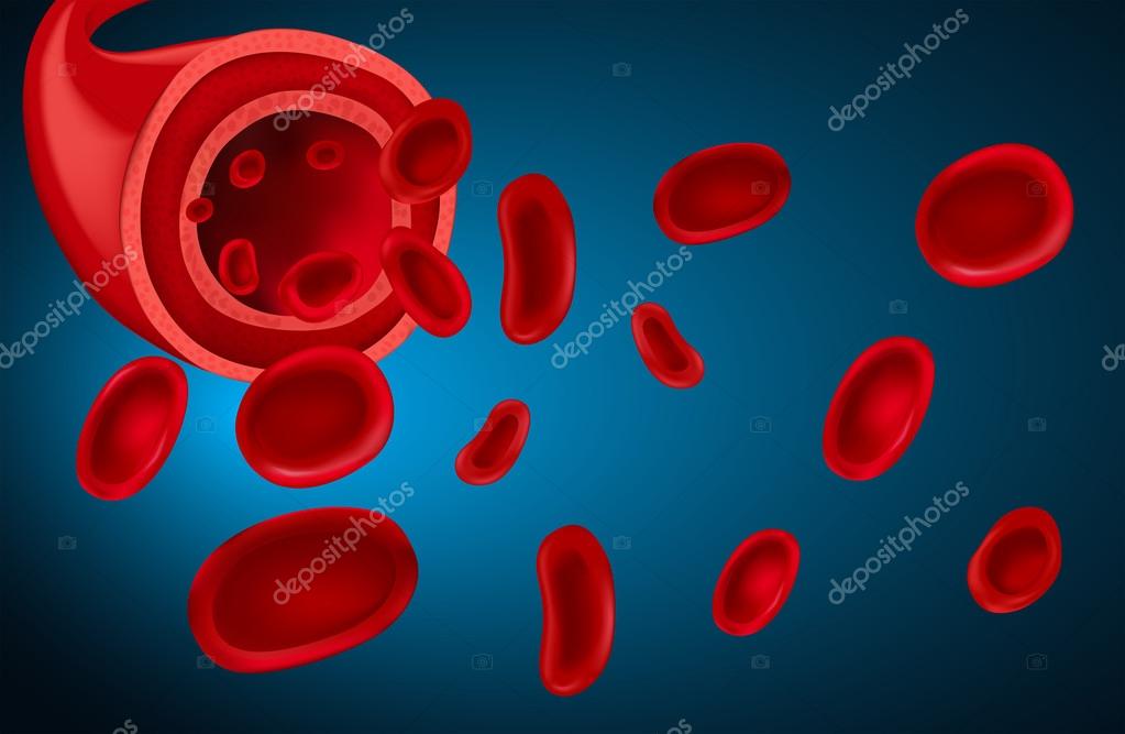 Blood Stock Vector Image by ©blueringmedia #31929327