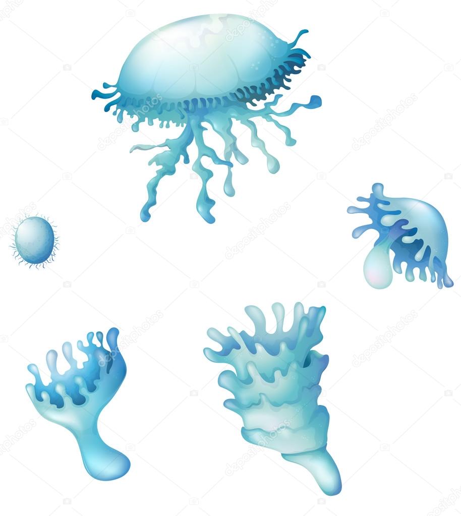 Jellyfish life cycle Stock Vector by ©blueringmedia 33098861