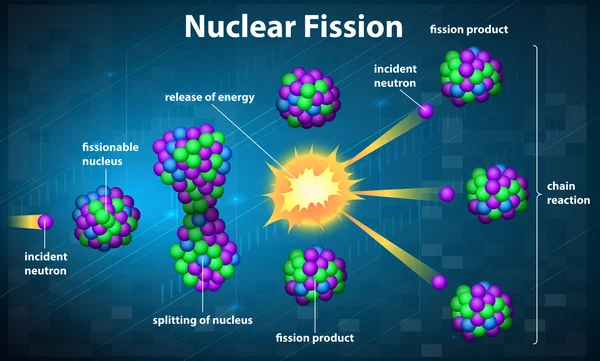 Nuclear fission — Stock Vector © blueringmedia #36147651