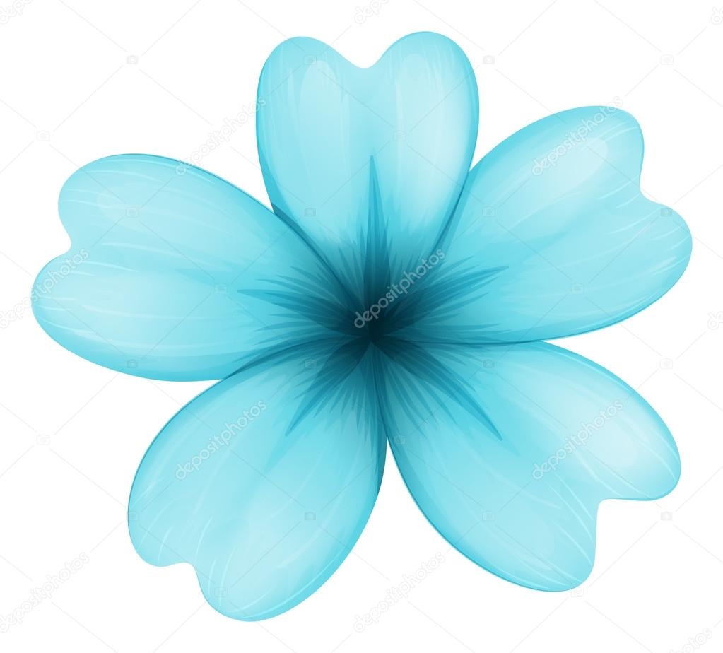 Five Petal Flower | Best Flower Site