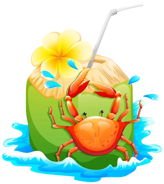 Buko Vector Art Stock Images | Depositphotos