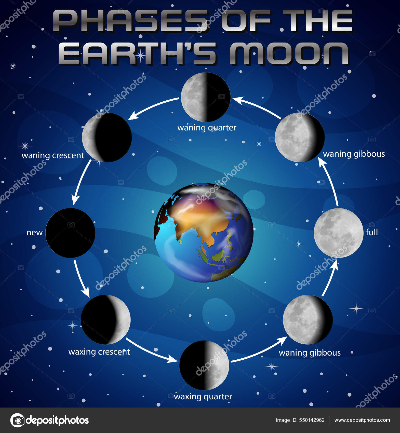 Phases Moon Science Education Illustration Stock Vector by ...