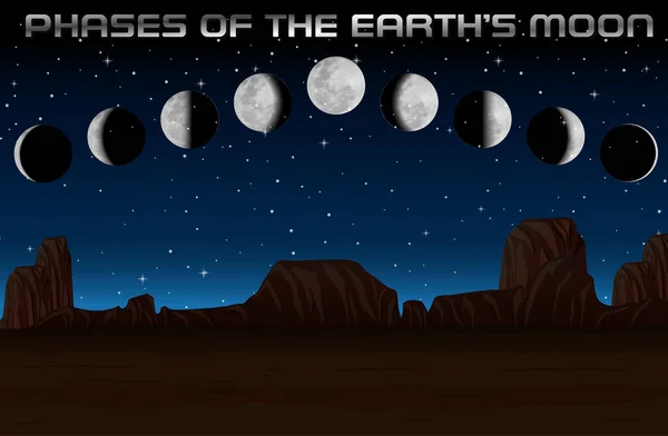 Phases Moon Science Education Illustration Stock Vector by ...