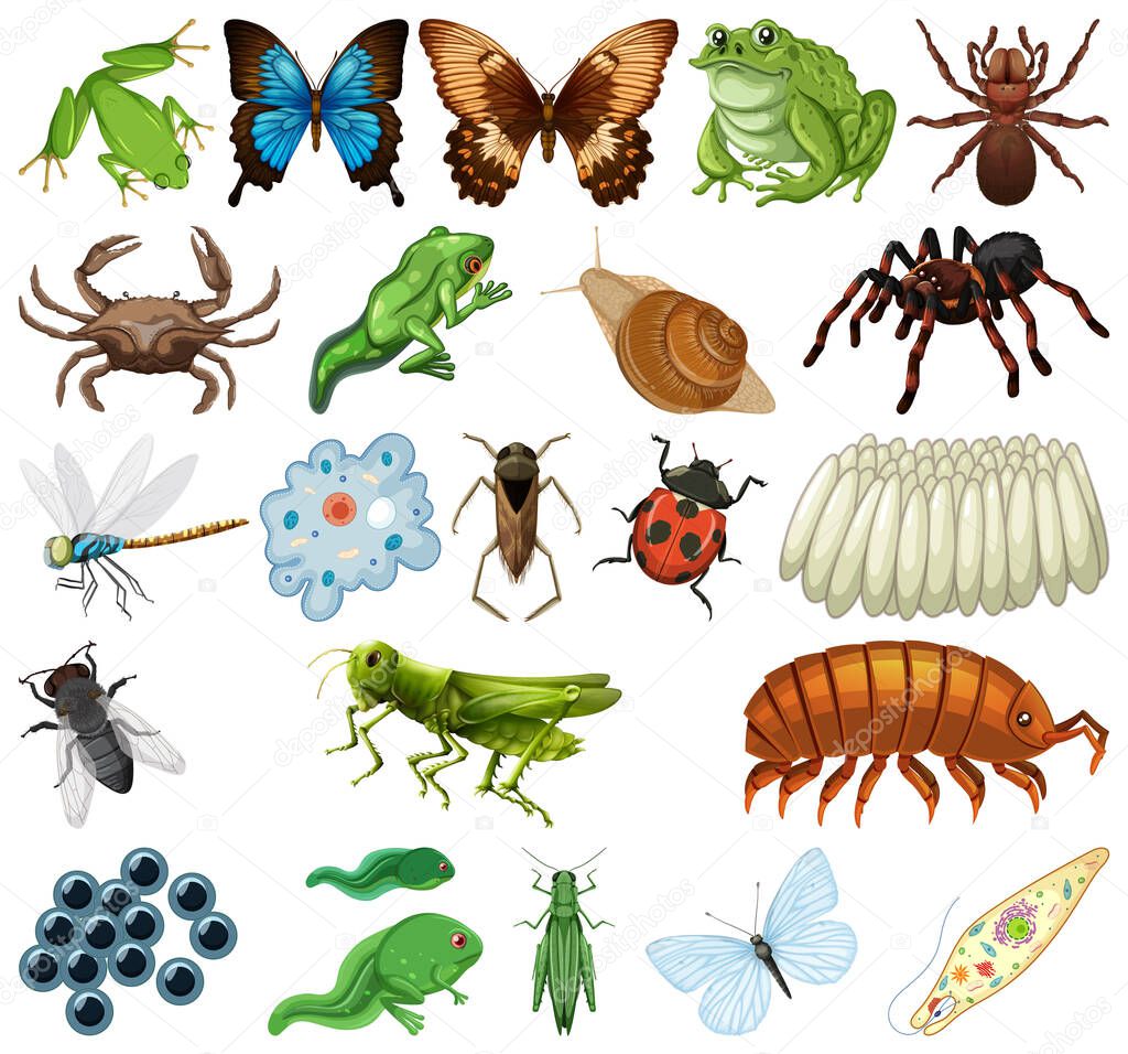 Diferentes tipos de insectos y animales sobre fondo blanco ilustración 2025