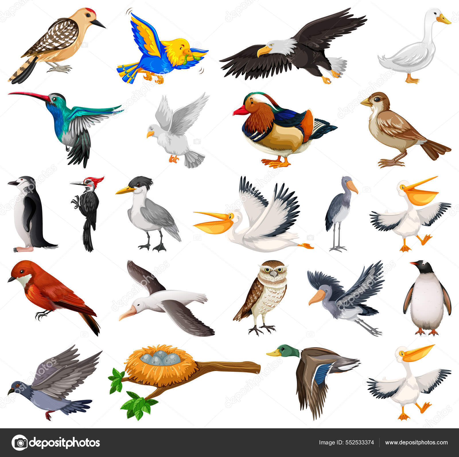 Diferentes Tipos Ilustración Colección Aves Vector de stock por ...