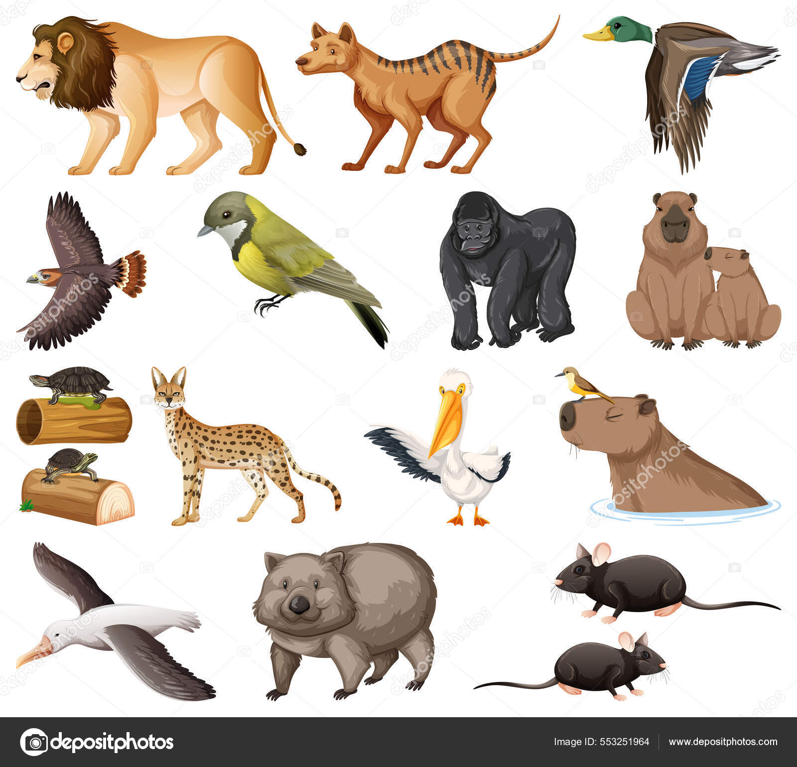 Different Kinds Animals Collection Illustration Stock Vector Image by ...
