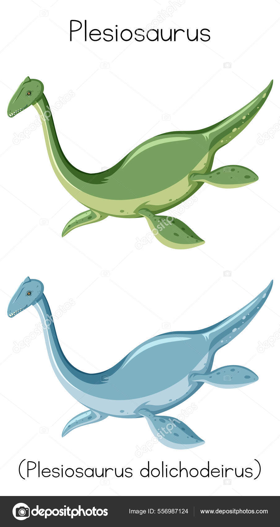 Plesiosaurus Two Colors Illustration Stock Vector by ©blueringmedia ...