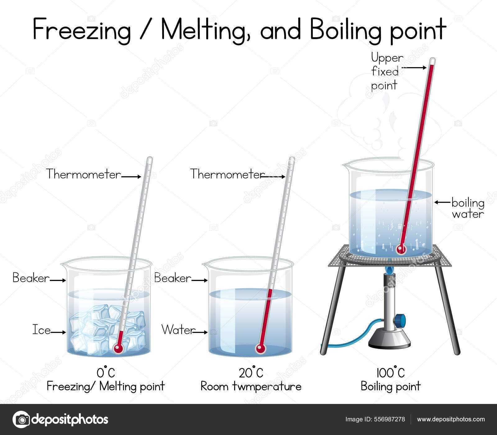Water Temperature Science Experiment Illustration Stock Vector by ...