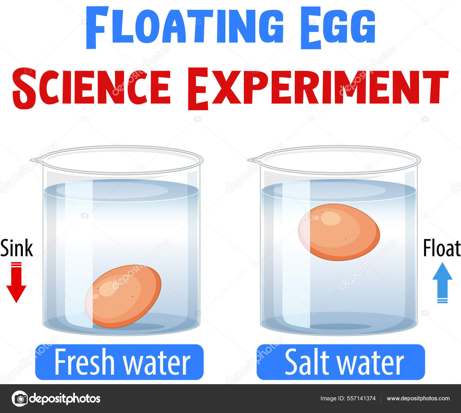 Floating Egg Science Experiment Illustration Stock Vector by ...