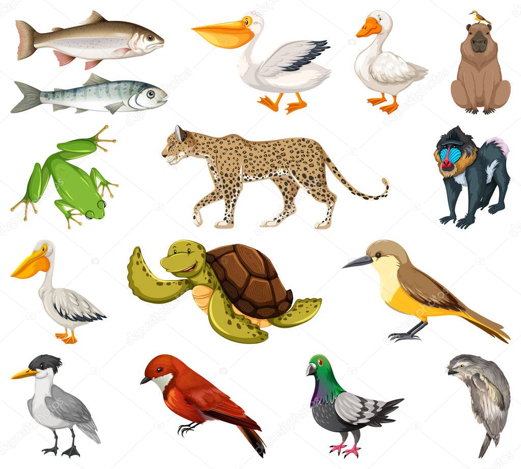 Diferentes tipos de animales colección ilustración 2022