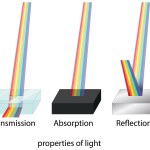 Reflects and absorbs. Spectrum of Colors and Sunlight Stock Vector ...