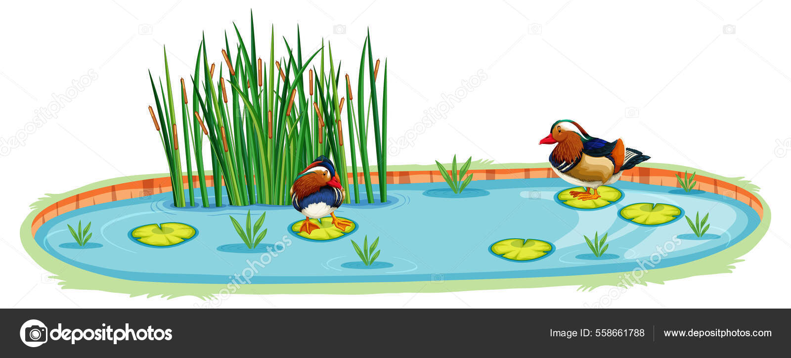 Ducks Pond Cartoon Style Illustration Stock Vector by ©blueringmedia 558661788