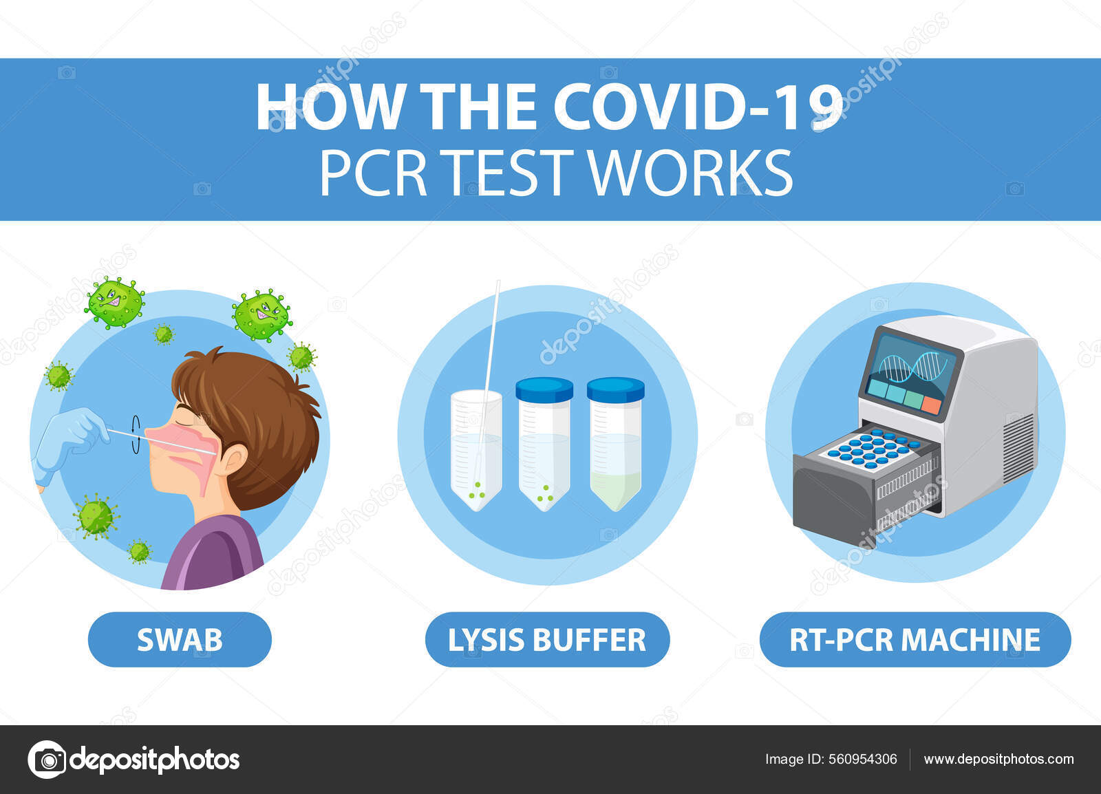 Covid Testing Diagram Antigen Test Kit Illustration Stock Vector Image ...