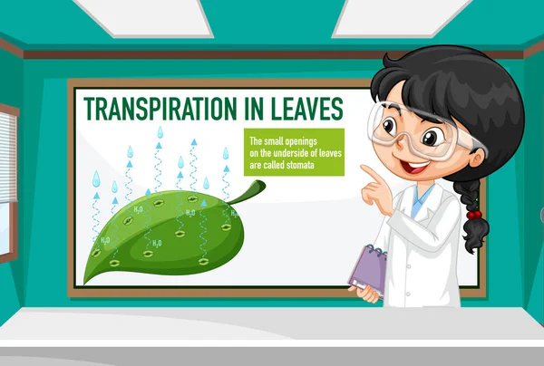 Science Concept Transpiration Leaves Illustration Stock Vector by ...