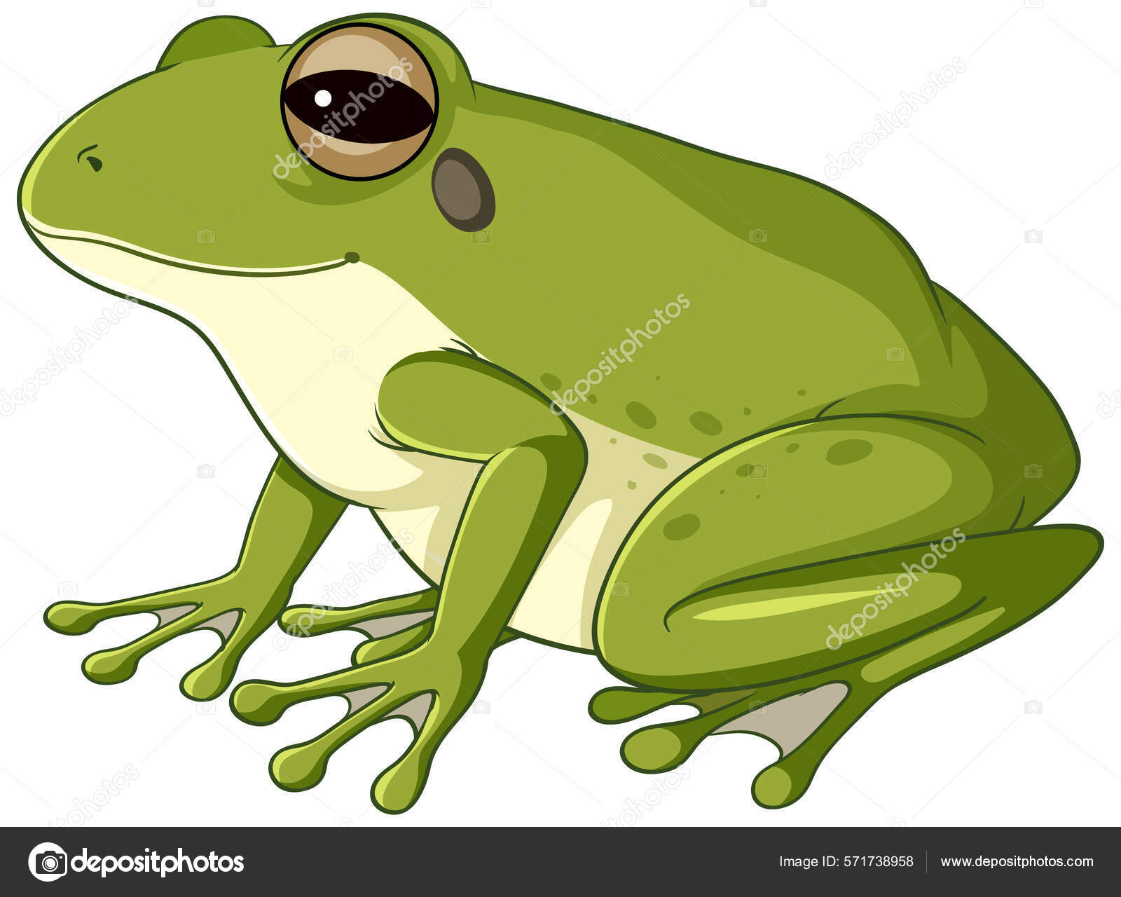 Una Rana Verde Sobre Fondo Blanco Ilustración Vector de stock ...