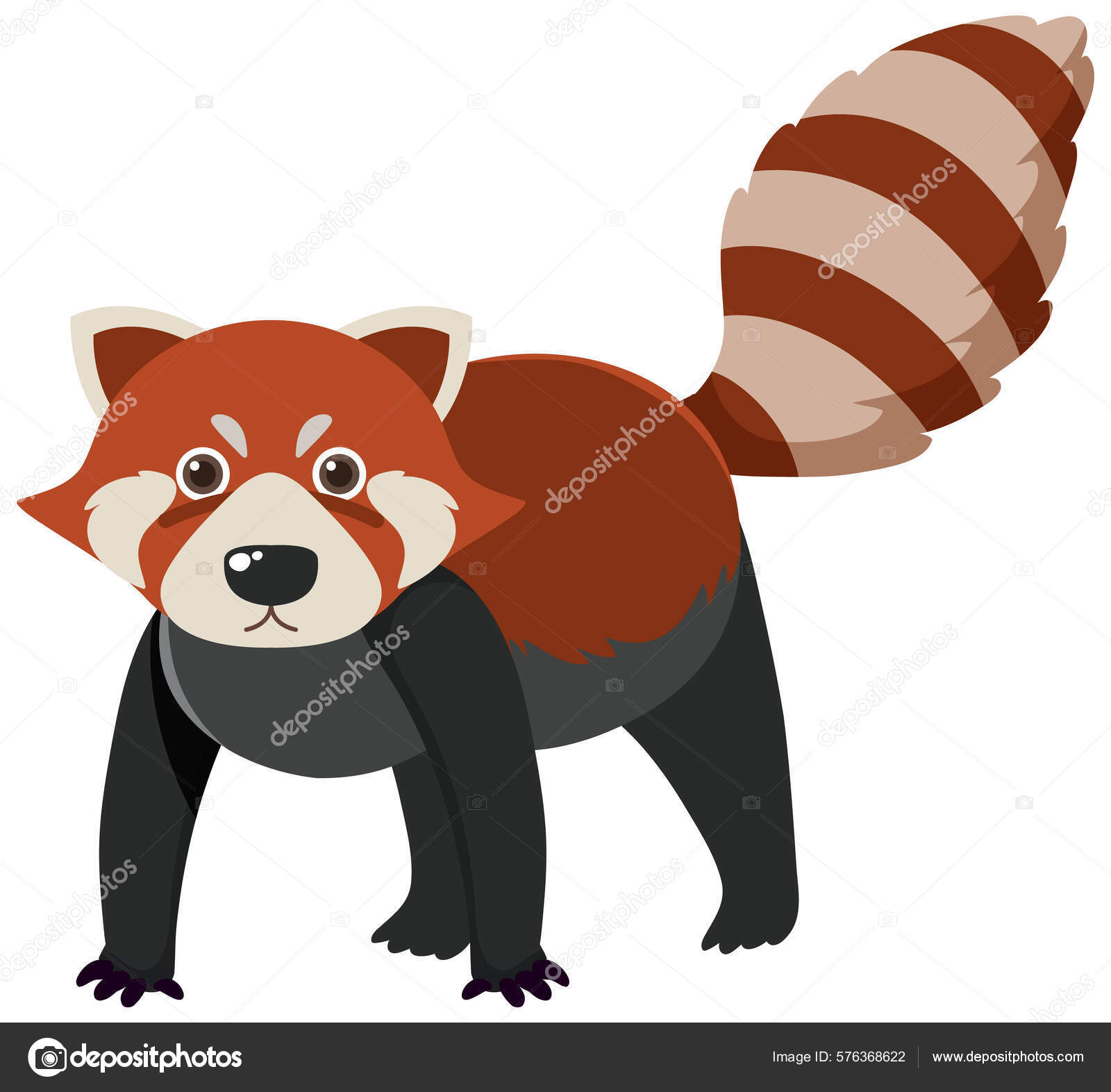 Niedlichen Roten Waschbär Flachen Cartoon Stil Illustration Stock ...
