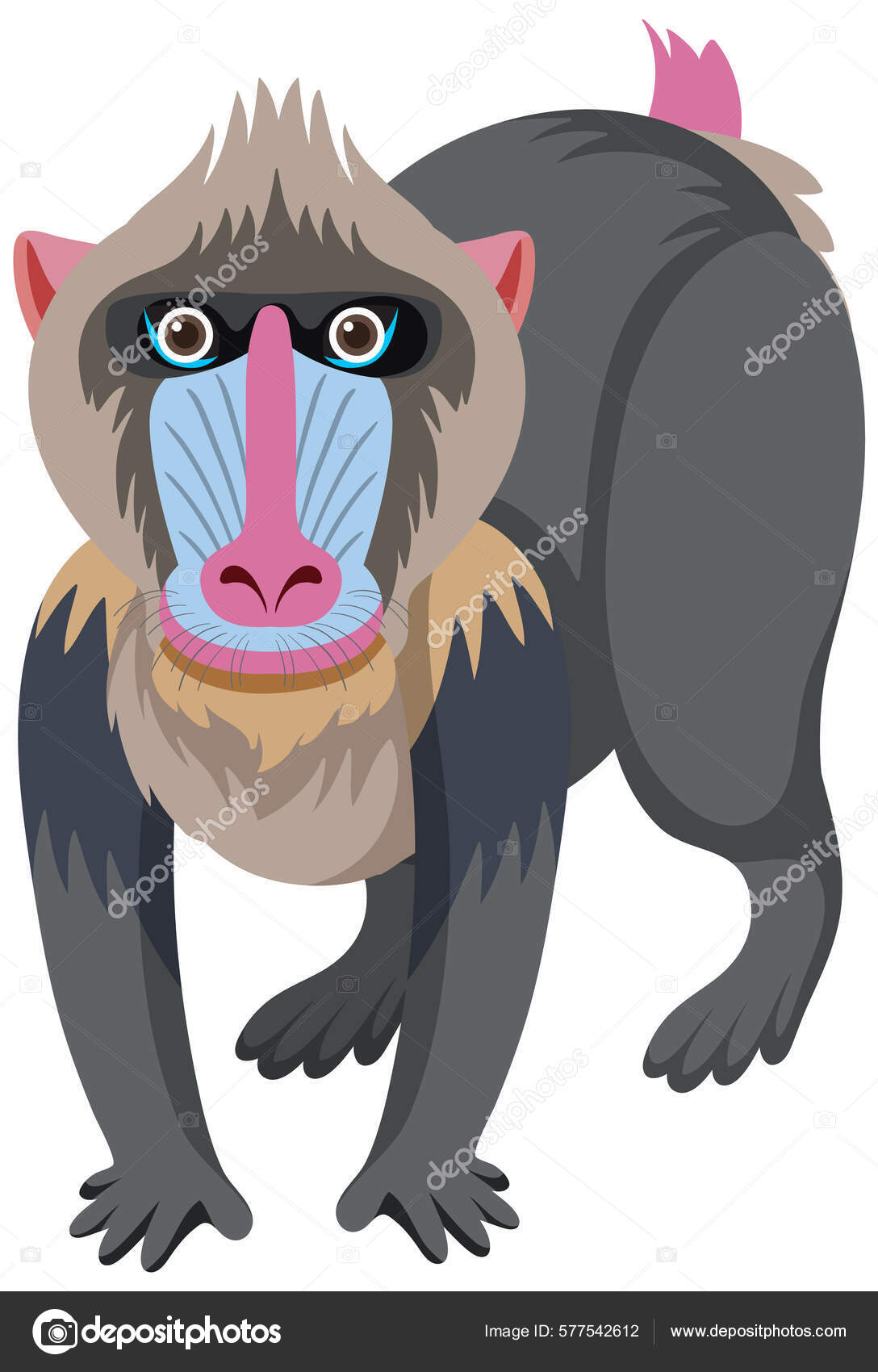 Çizgi Film Stili Illüstrasyonda Şirin Bir Manmatkap ©blueringmedia ...