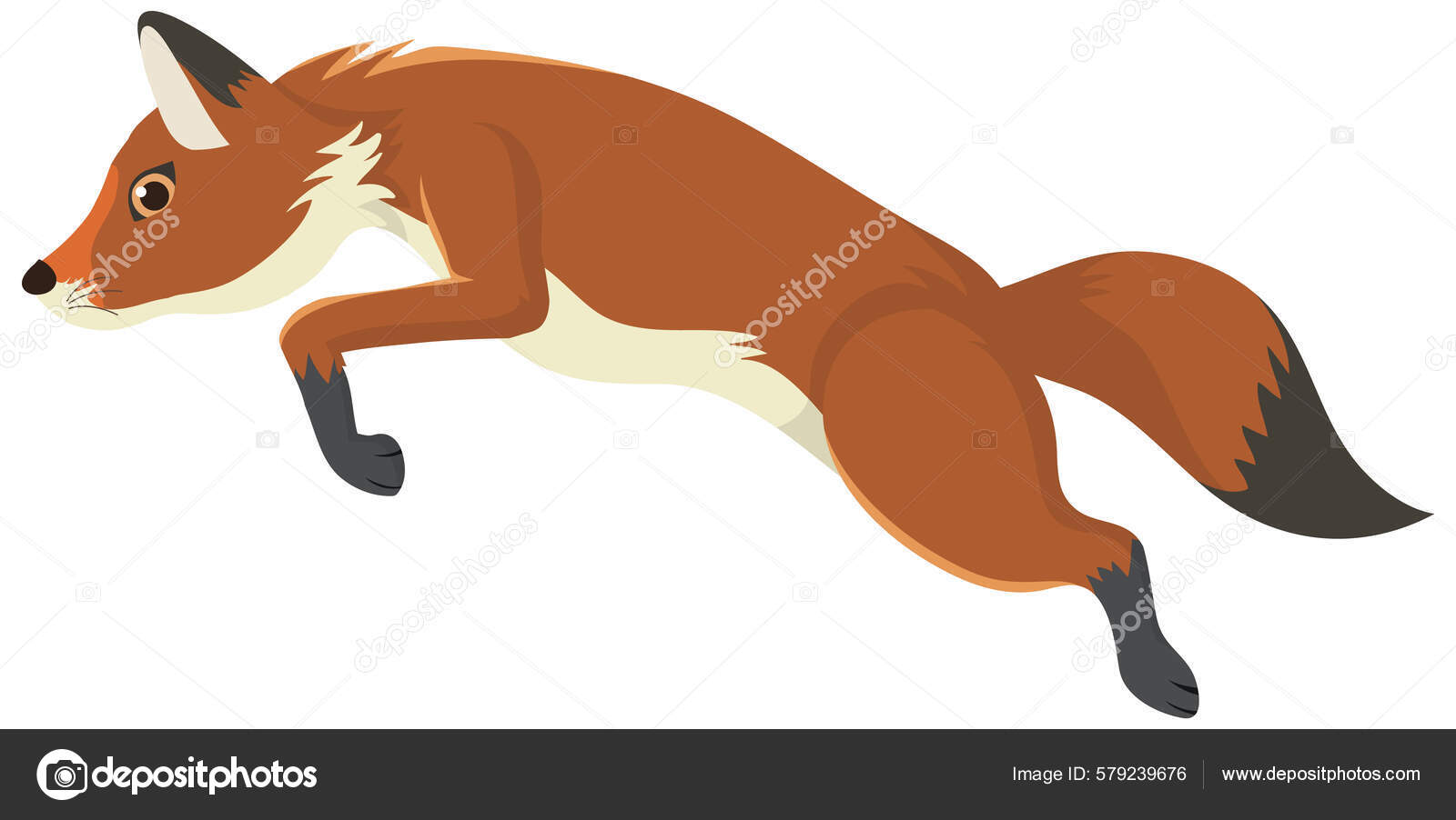 Fox Jumping Illustration