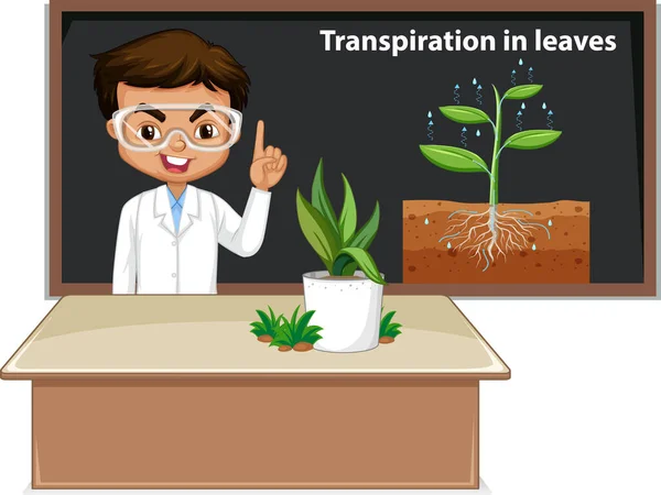 Transpiration For Kids