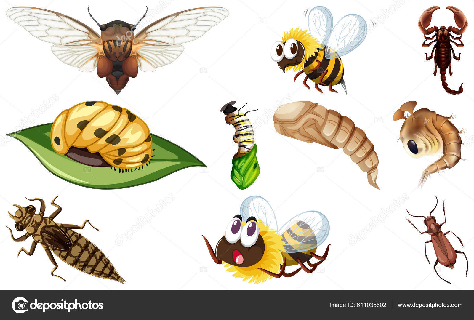 Diferentes Tipos Insectos Colección Ilustración vector, gráfico ...