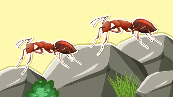 100,000 Crawling ants Vector Images | Depositphotos