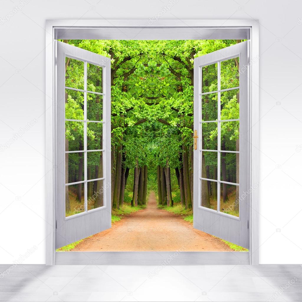 Opened door to early morning in green forest — Stock Photo © vladvitek ...