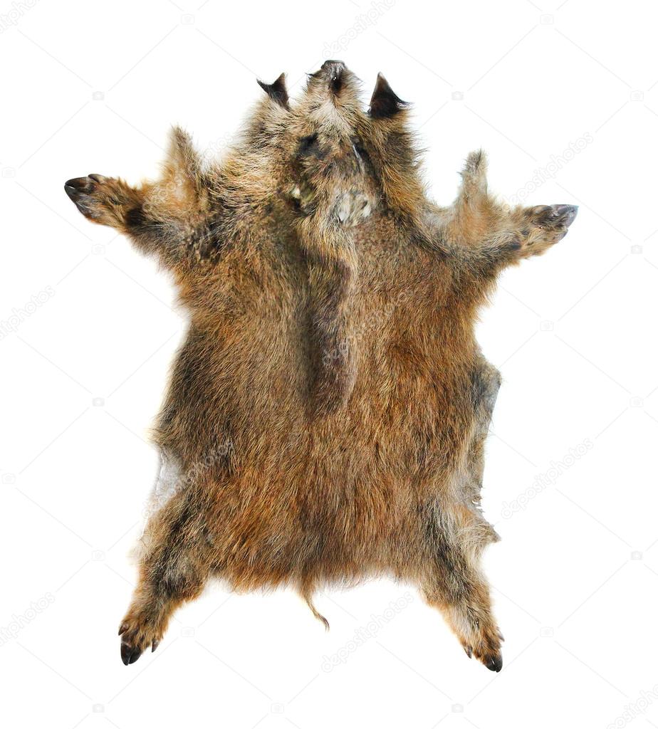 Animal fur — Stock Photo © vladvitek #34677269