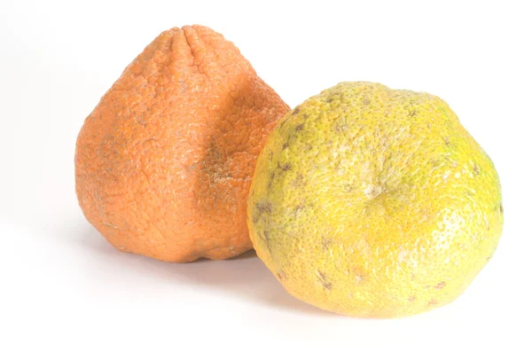 Pictures: ugly fruit | Ugli fruit — Stock Photo © rjlerich #23056994