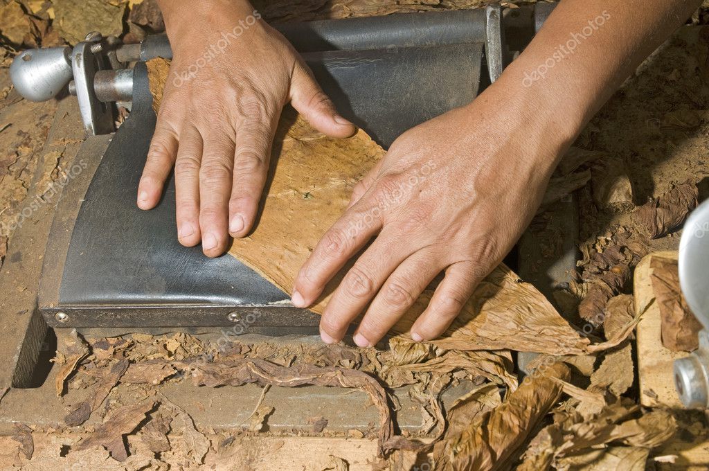 Hand rolling cigar production Stock Photo by ©rjlerich 23059340