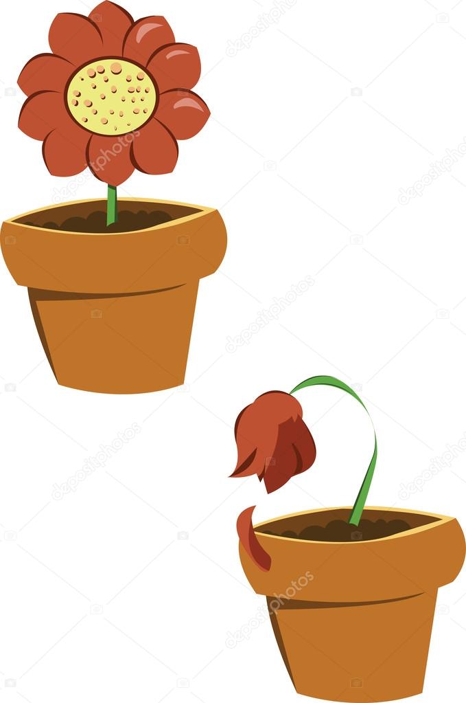 Descubrir 206 Imagen Dibujos Del Cuidado De Las Plantas