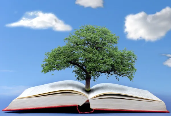 Knowledge tree Stock Photos, Royalty Free Knowledge tree Images ...