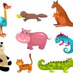 Animal set Stock Vector Image by ©nem44a #4791827