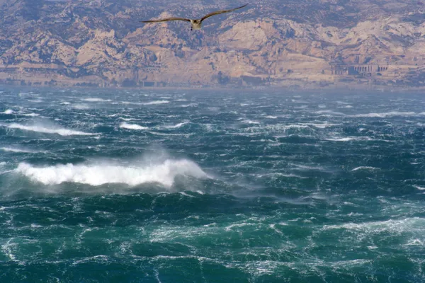 Mistral Stock Photos, Royalty Free Mistral Images | Depositphotos®