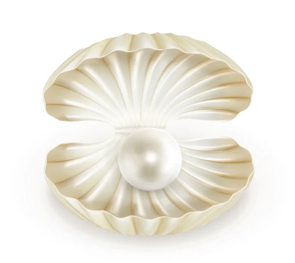 29,308 Pearl background Vector Images, Pearl background Illustrations ...