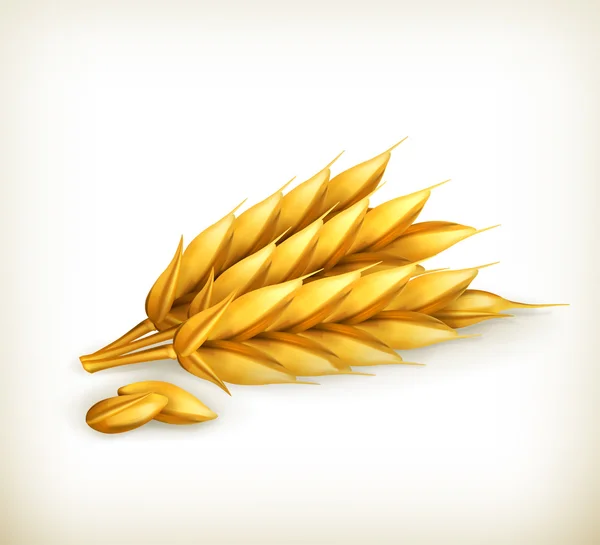 Trigo, conjunto de vectores Stock Vector by ©natis76 12837189