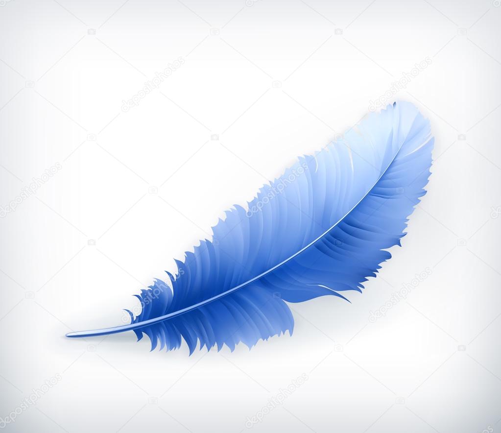 Feather, vector Stock Vector Image by ©natis76 #12836870 Feather, vector Stock Vector Image by ©natis76 #12836870