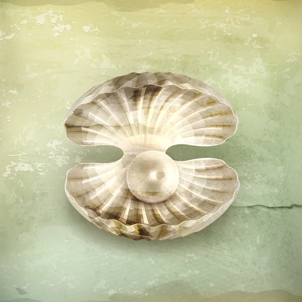 Nacre Stock Vectors, Royalty Free Nacre Illustrations | Depositphotos®