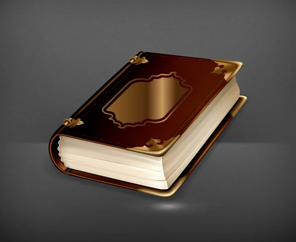 Old book, icon — Stock Vector © natis76 #13387271