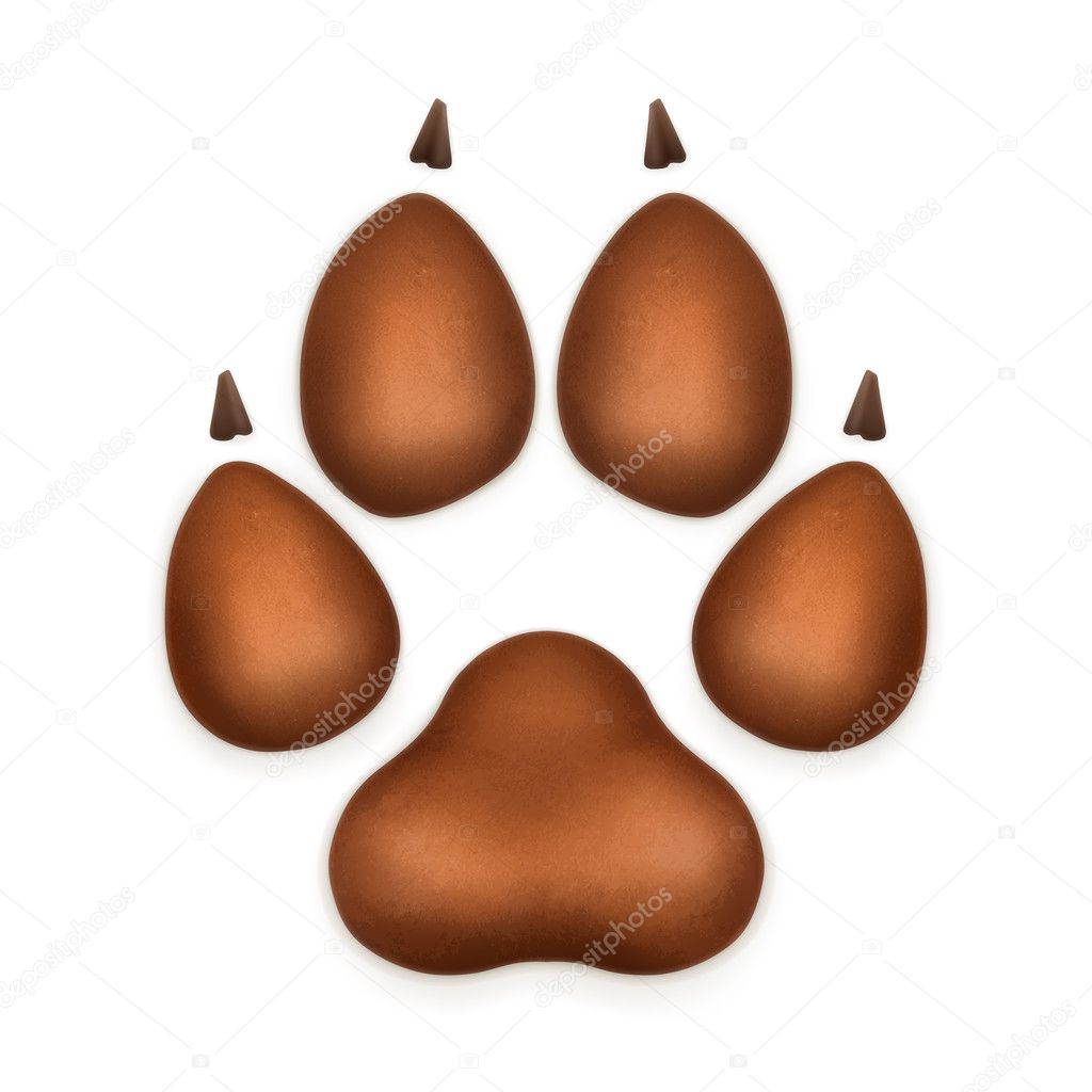 Patte de chien, vecteur Vecteur par ©natis76 44315151