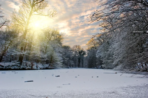 Sunset over winter forest lake — Stock Photo © paulgrecaud #34036937