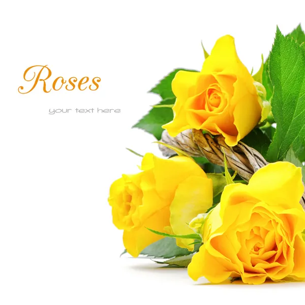 Yellow rose border Stock Photos, Royalty Free Yellow rose border Images ...