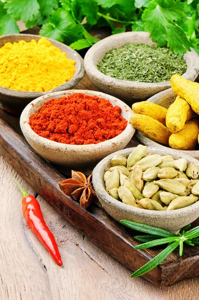 Colorful mix of spices — Stock Photo © paulgrecaud #21174927